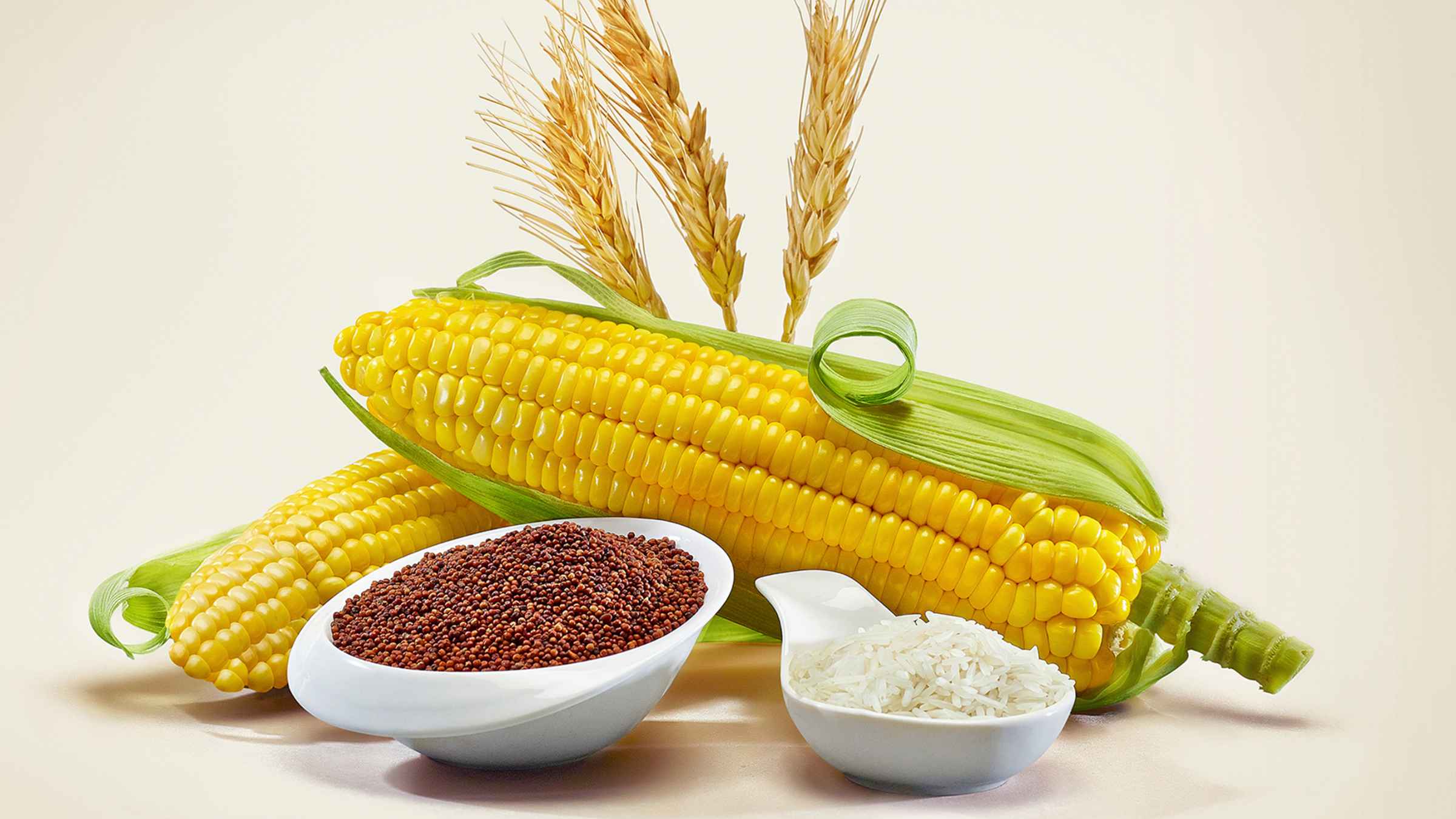 Carbs 101 - Are Carbs Important Post Workout? – Australian Sports Nutrition