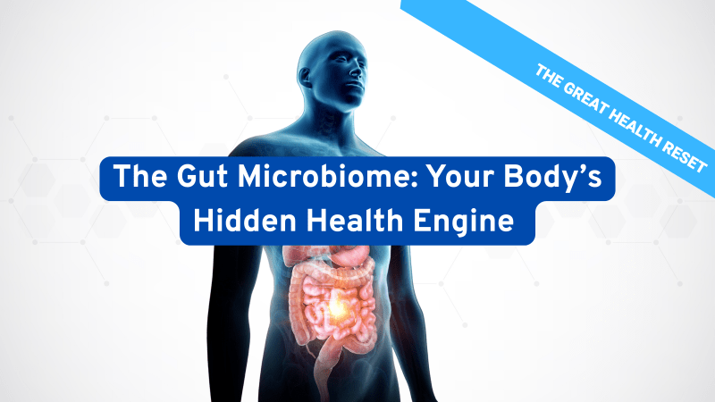 The Gut Microbiome: Your Body’s Hidden Health Engine – Australian ...