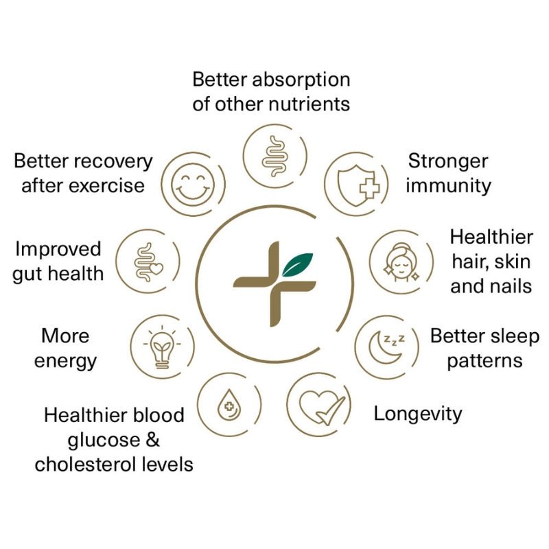 Cell Wellness Co Cell Charge - Australian Sports Nutrition